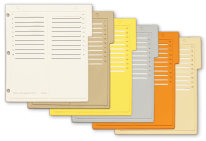 T-Scan Visible T-Card Display System