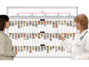 Magnetic Org Chart Whiteboard