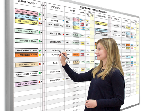 Magnetic planning and scheduling whiteboards