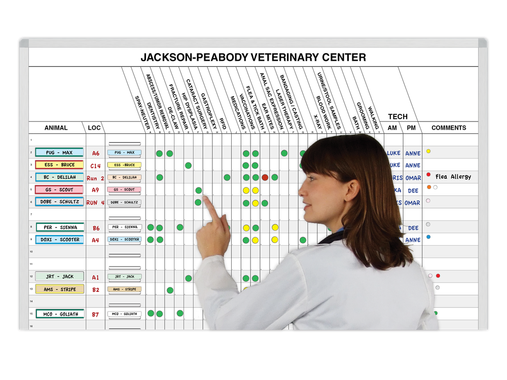 Veterinary Care Tracker | Magnetic Whiteboard for Procedures